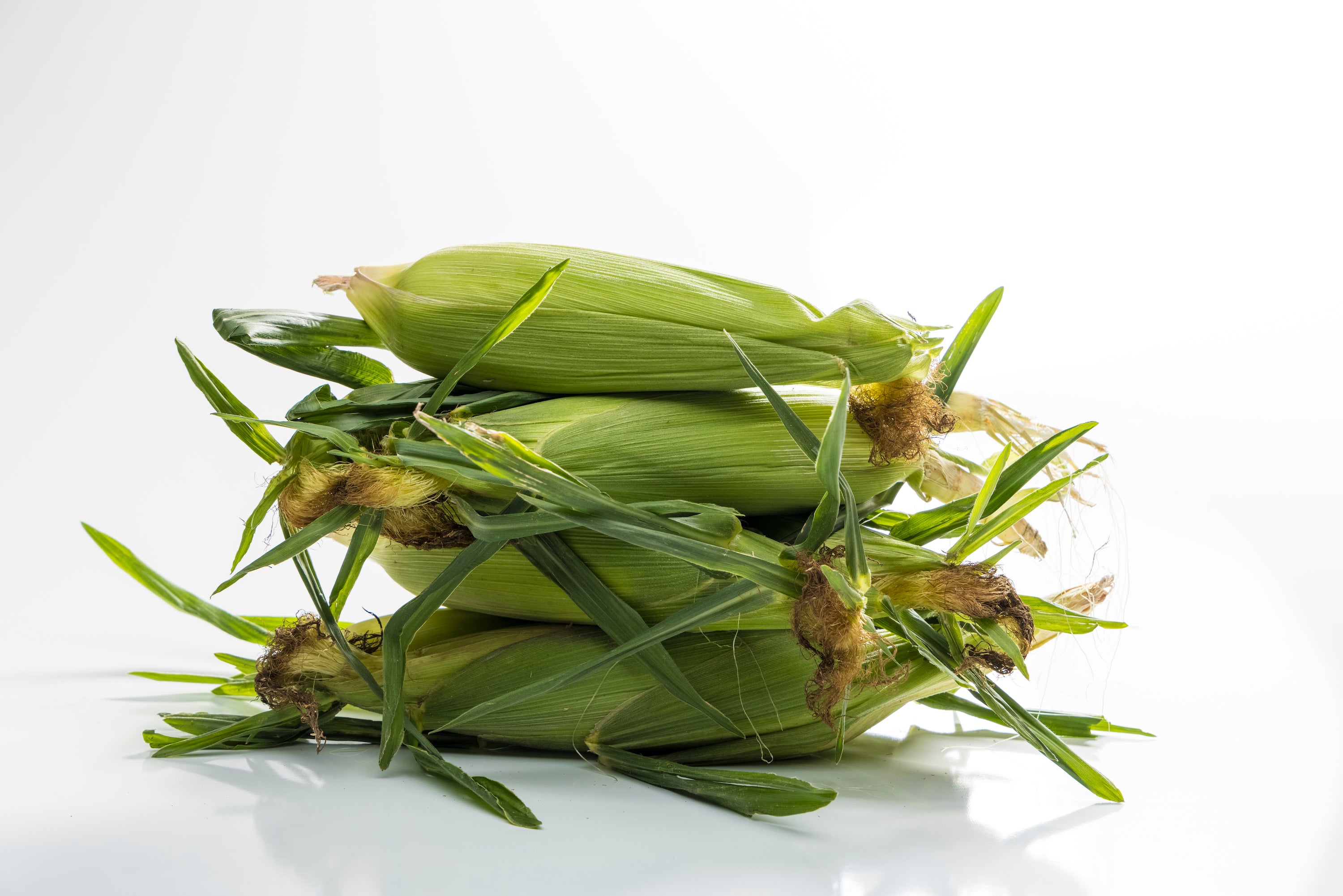 How to Store Your Sweet Corn – Casey Morgan's